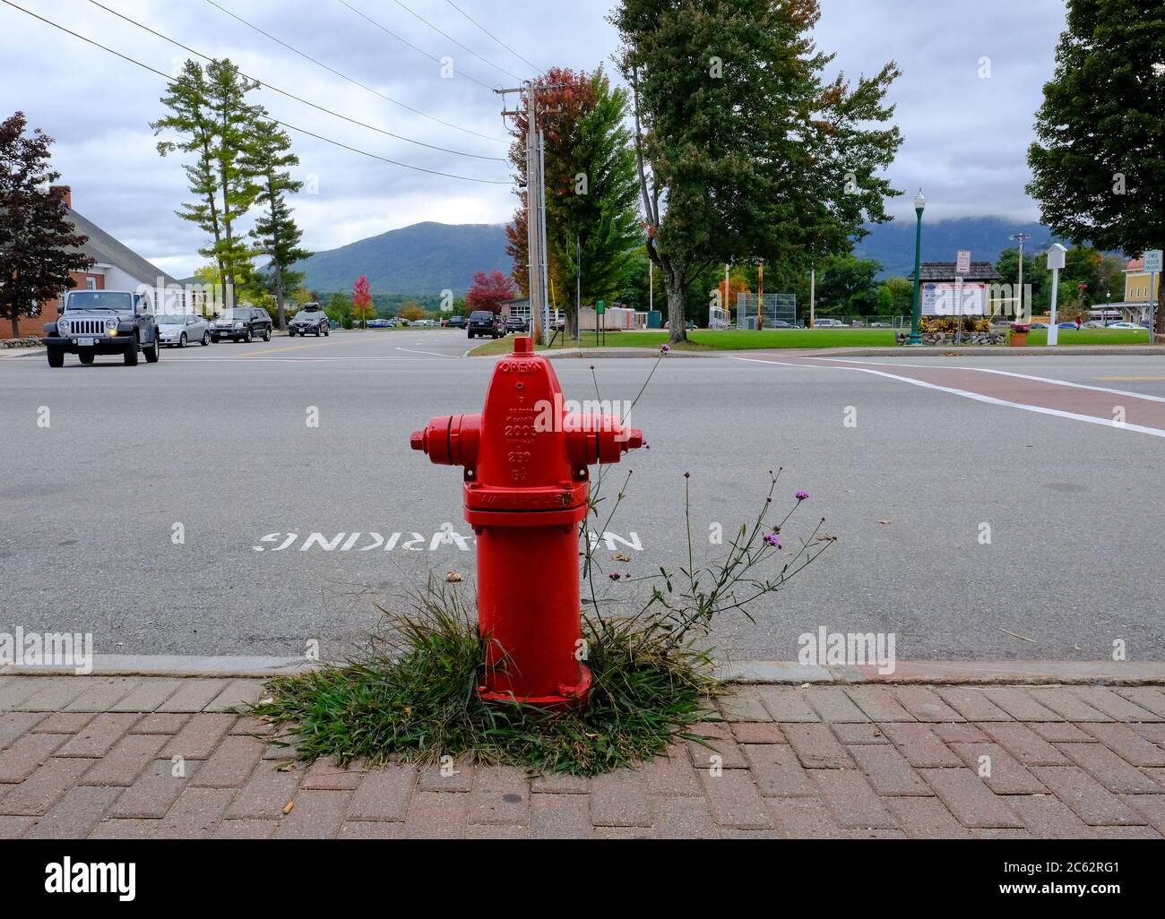 Classic styled fire hydrant seen installed on a busy US sidewalk with ...