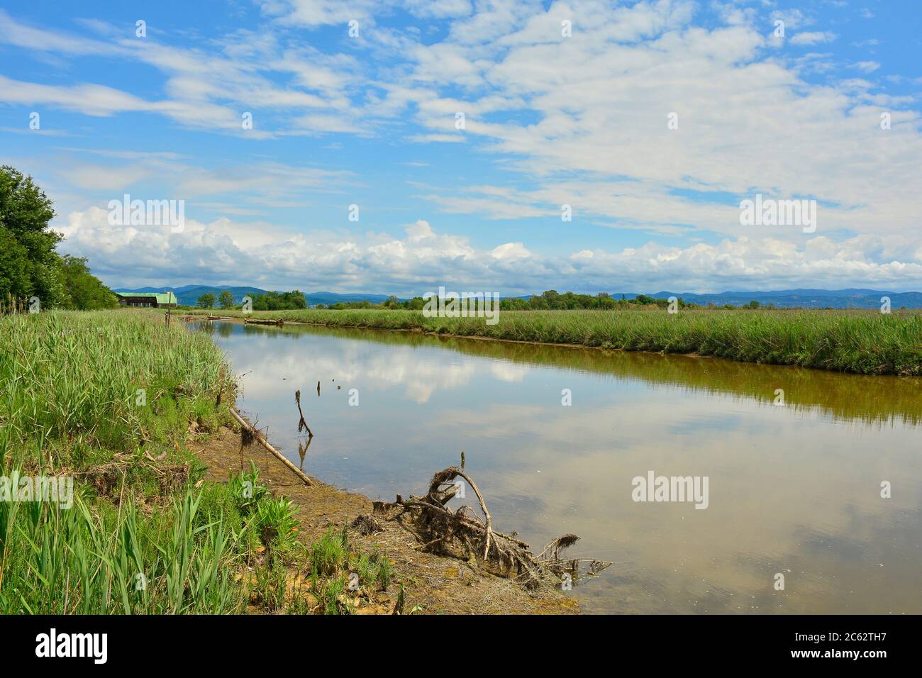 The wetlands of Isola Della Cona in Friuli-Venezia Giulia, north east ...