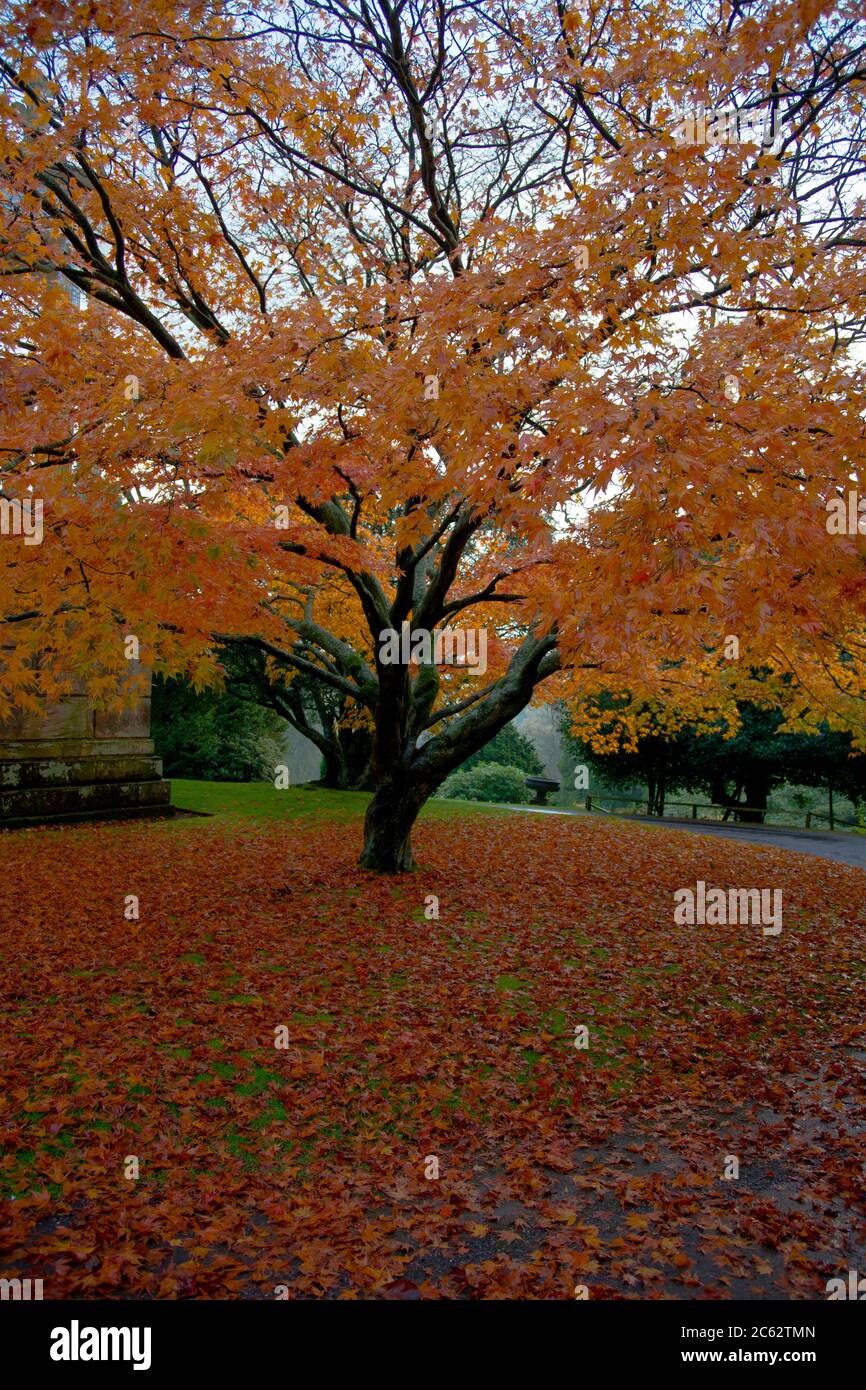 Changing of seasons hi-res stock photography and images - Alamy