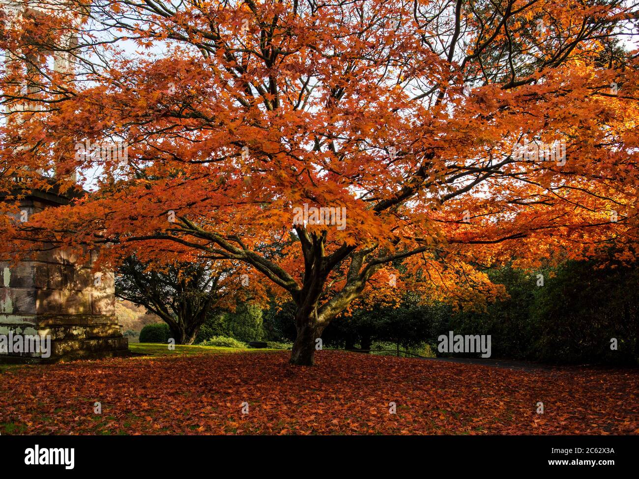 Fall scene vibrant colours hi-res stock photography and images - Alamy