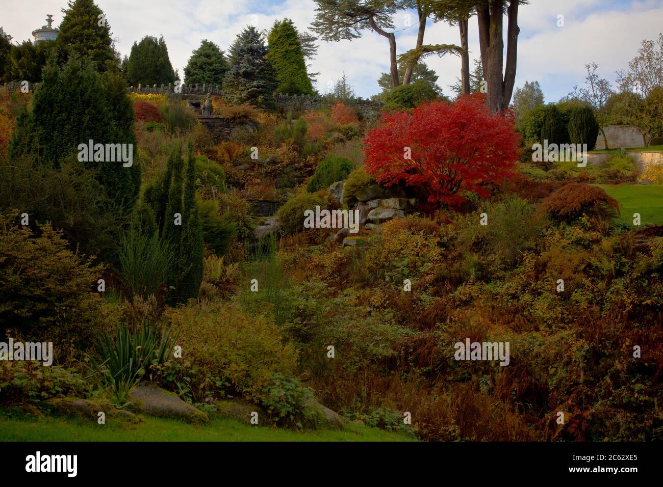 Fall scene vibrant colours hi-res stock photography and images - Alamy