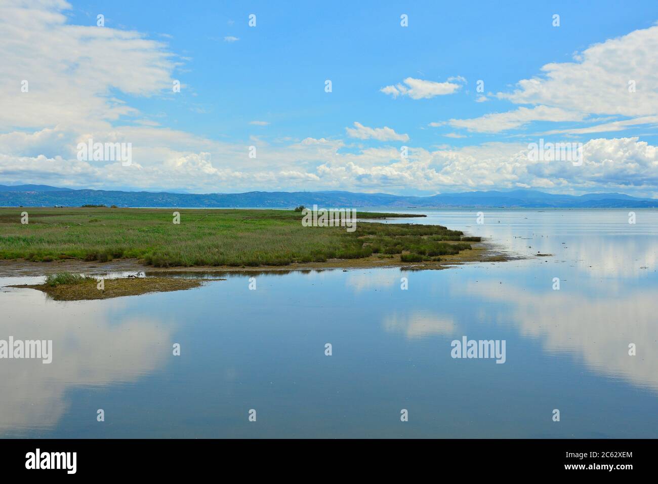 The wetlands of Isola Della Cona in Friuli-Venezia Giulia, north east ...