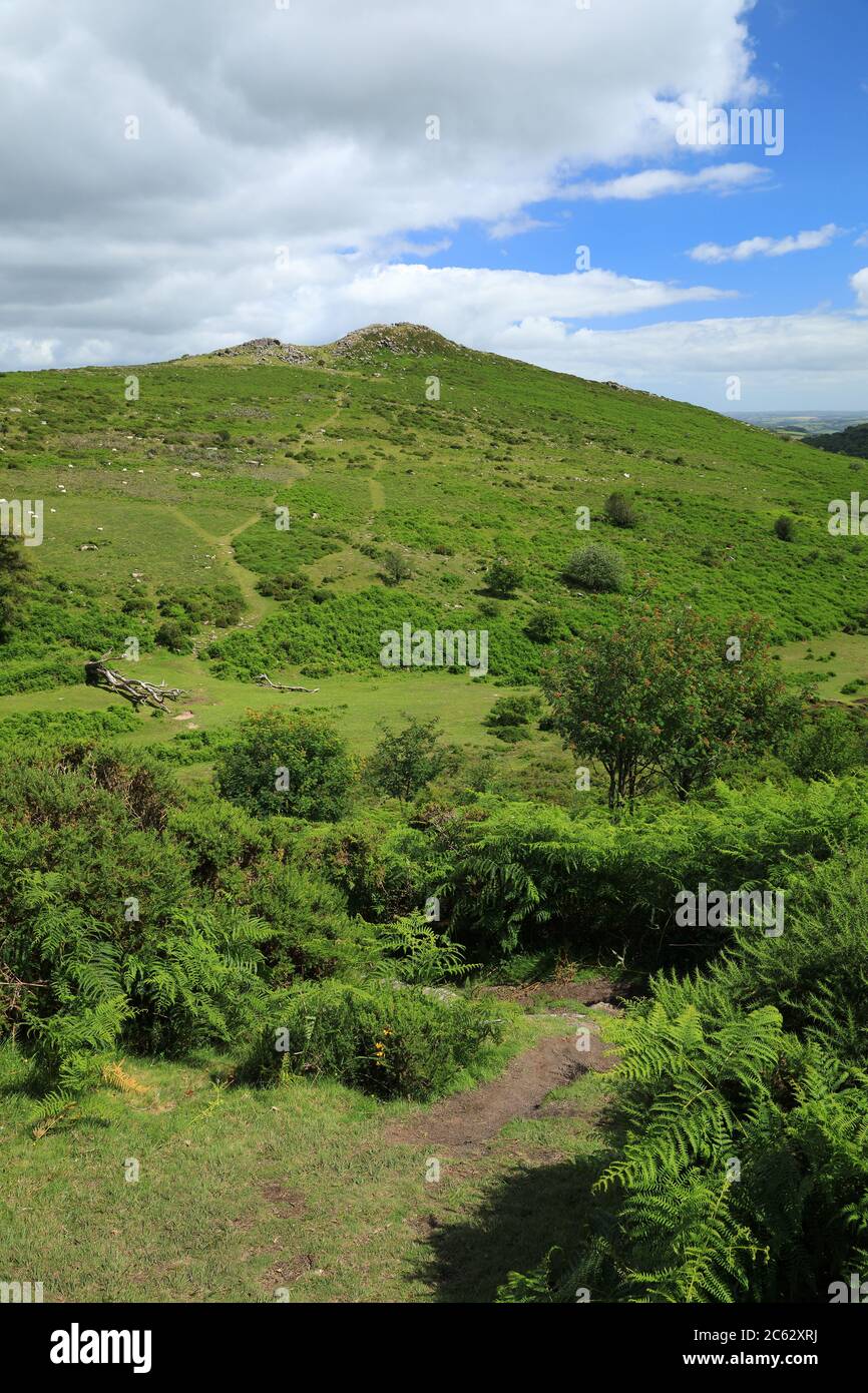Sharp tor, Dartmoor, Devon, England, UK Stock Photo - Alamy
