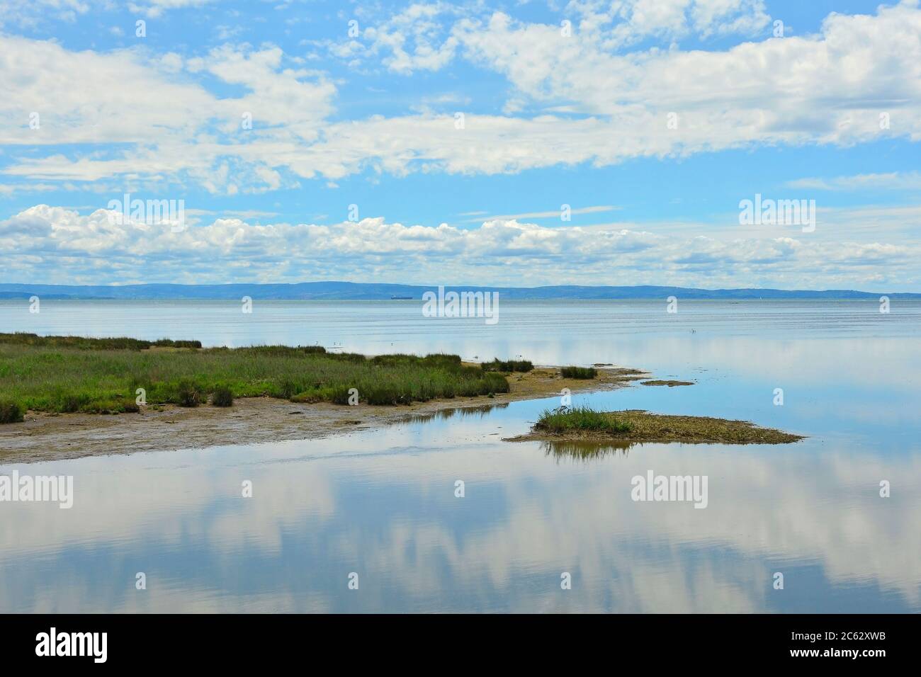 The wetlands of Isola Della Cona in Friuli-Venezia Giulia, north east ...