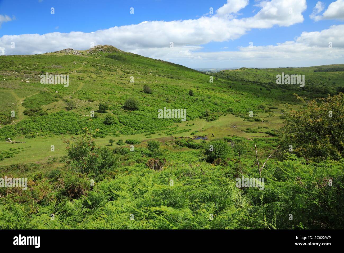 Sharp tor, Dartmoor, Devon, England, UK Stock Photo - Alamy