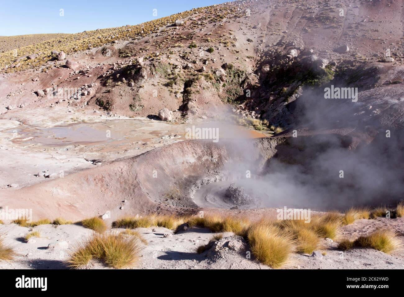 A geyser area in high mountain, Bolivia Stock Photo - Alamy