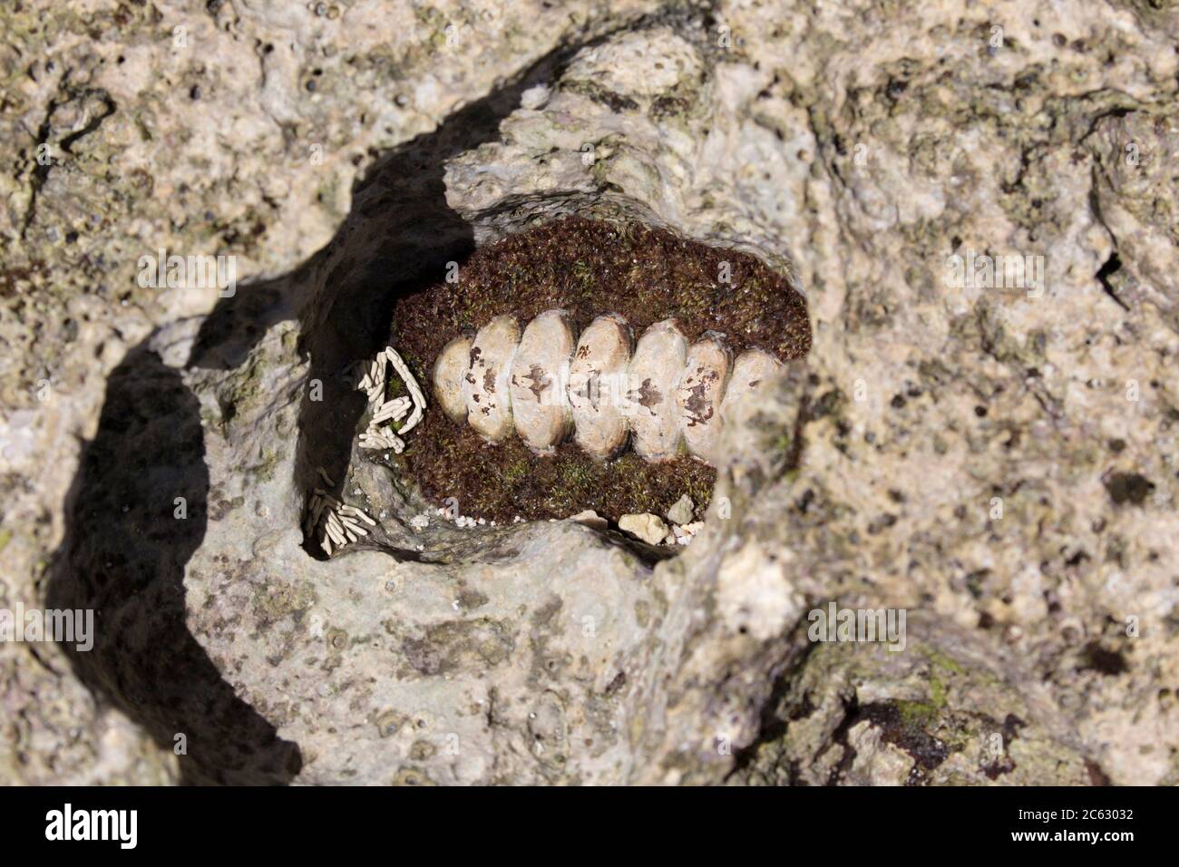 New caledonia beach australia hi-res stock photography and images - Alamy
