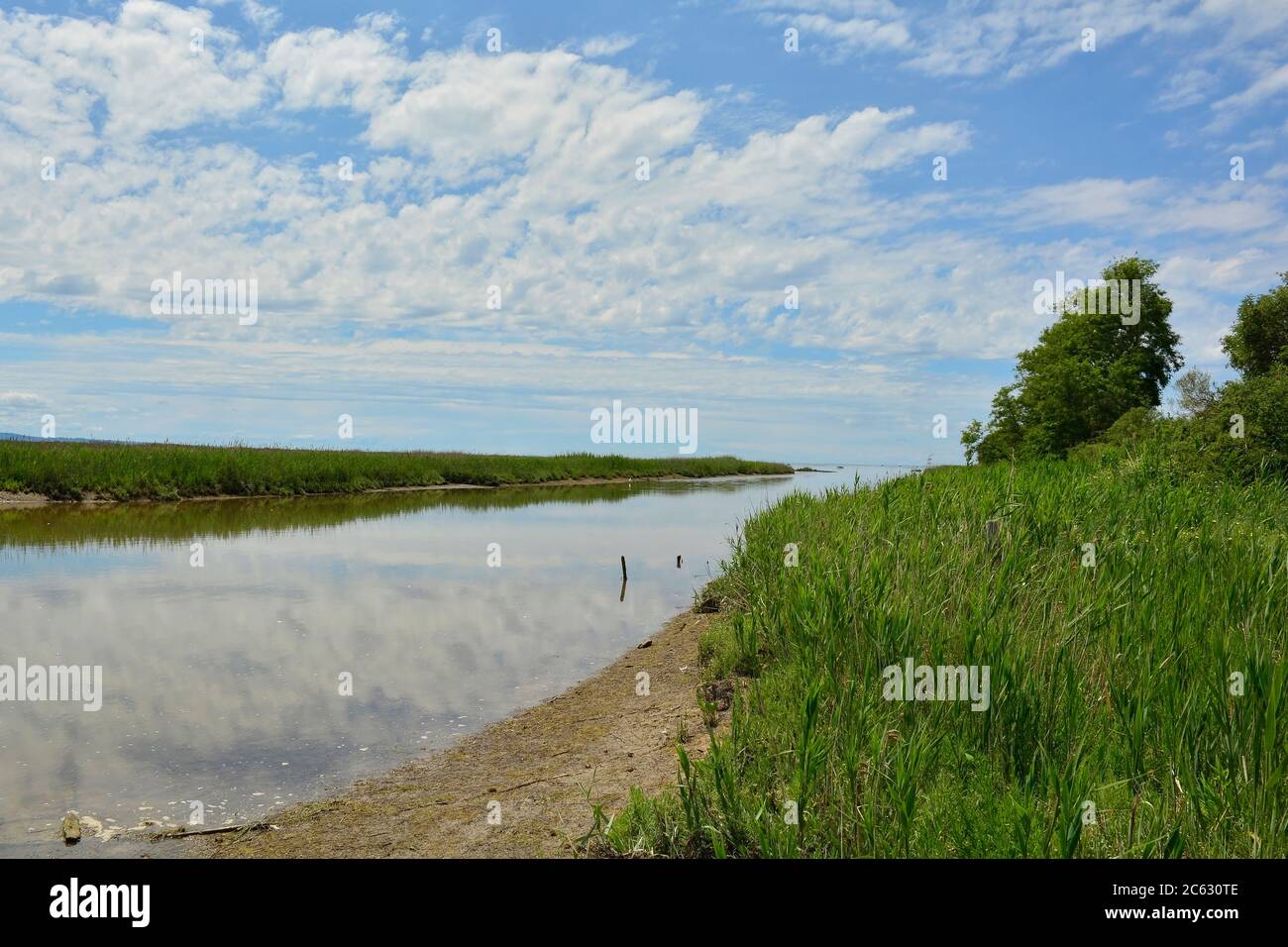 The wetlands of Isola Della Cona in Friuli-Venezia Giulia, north east ...
