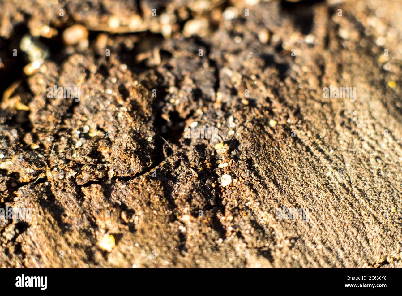 Sharp gravel background hi-res stock photography and images - Alamy