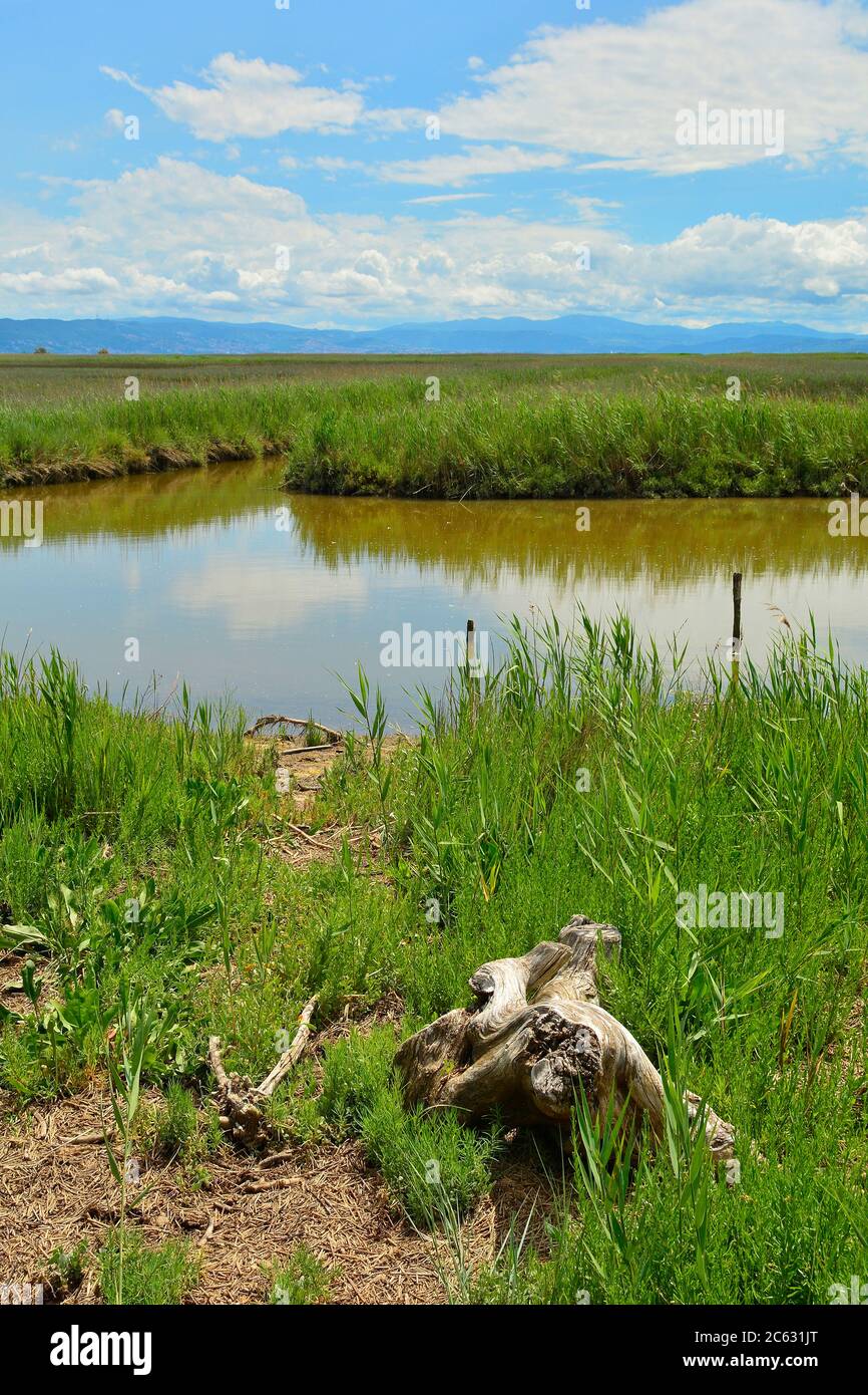 The wetlands of Isola Della Cona in Friuli-Venezia Giulia, north east ...