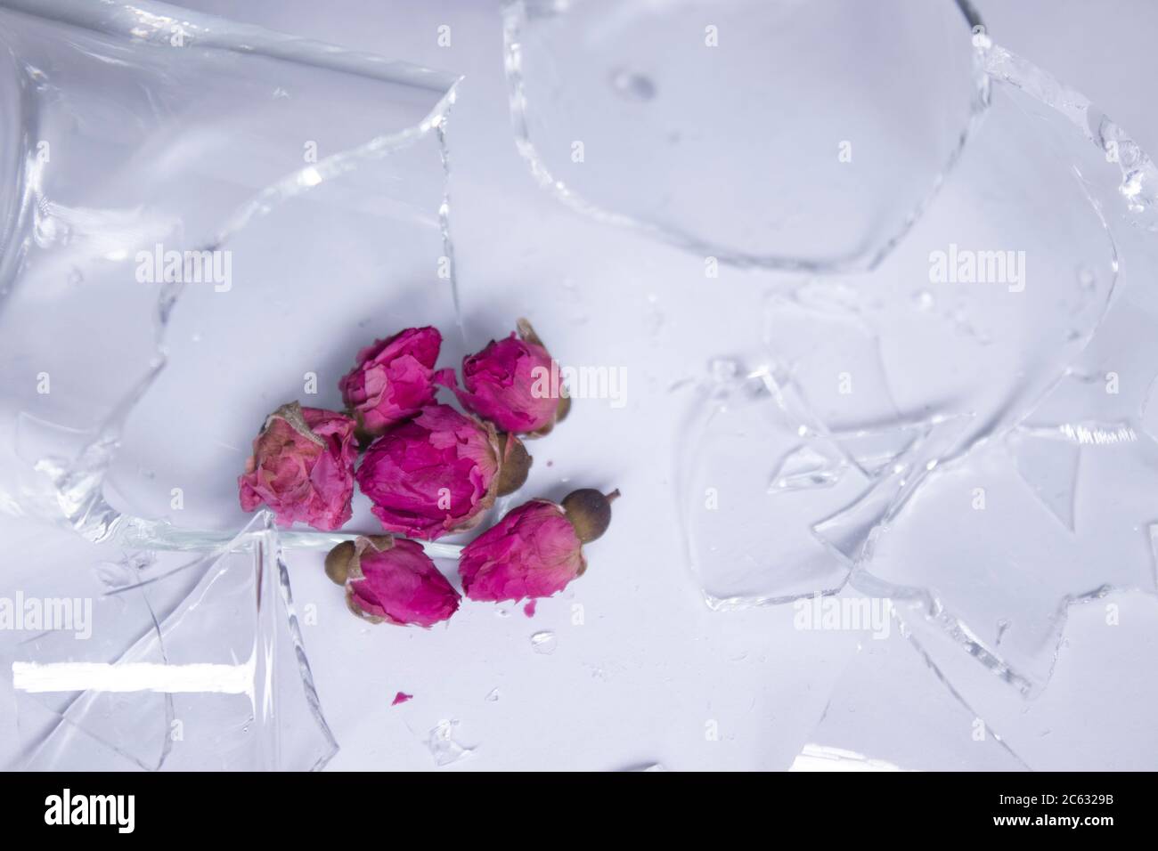 Shattered Glass Rose