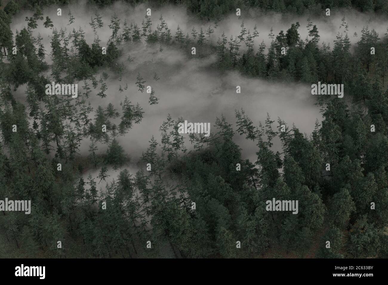 Aerial misty forest hi-res stock photography and images - Alamy