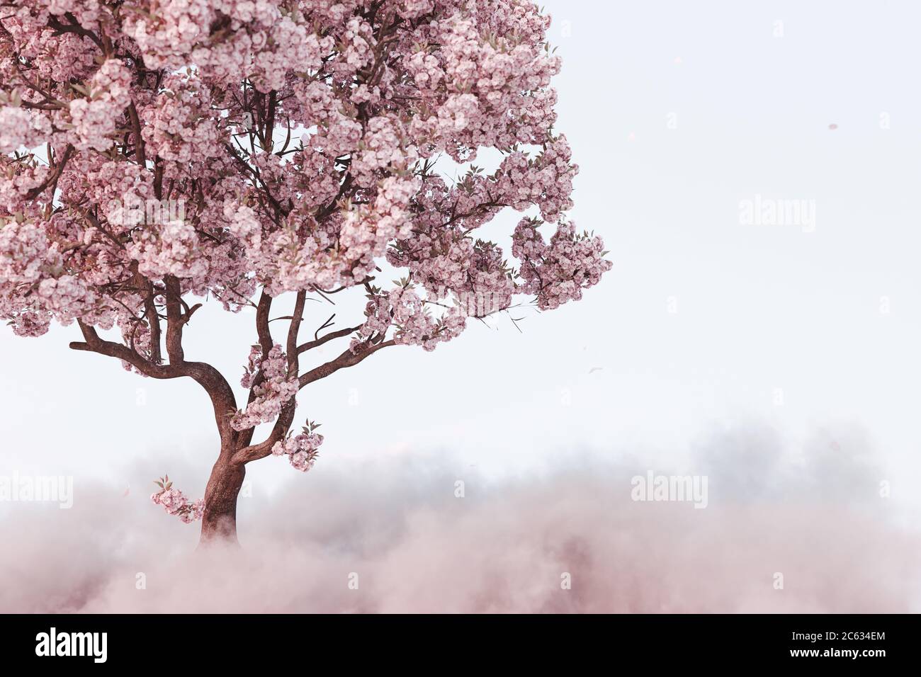 3d rendering of japanese cherry tree on fluffy clouds Stock Photo - Alamy
