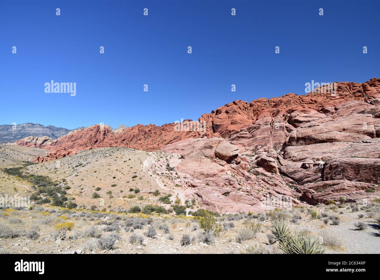 Calico mountains hi-res stock photography and images - Alamy