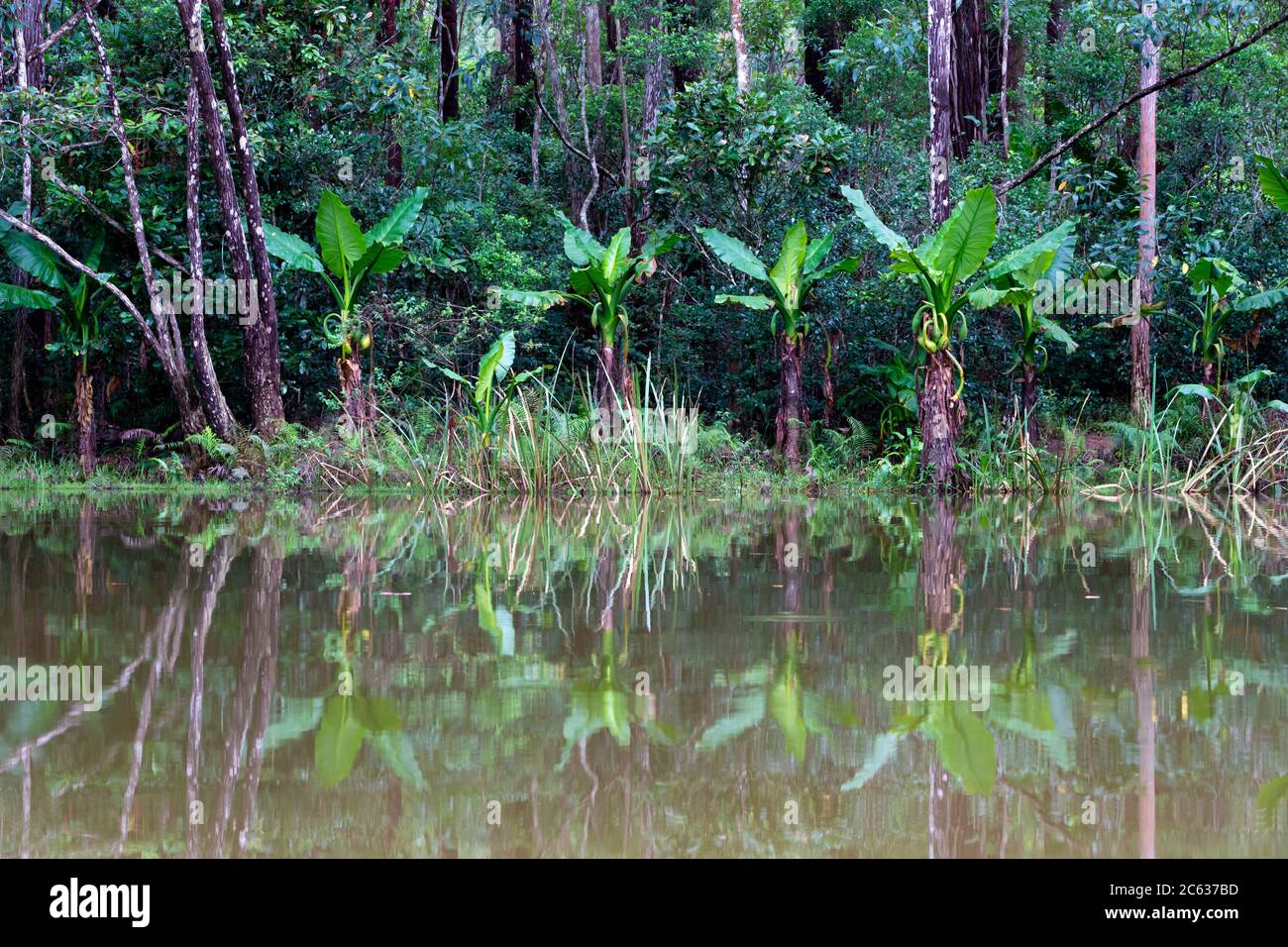 Opposite island hi-res stock photography and images - Alamy