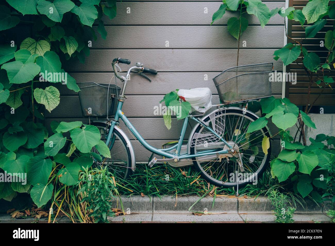 Japan Tokyo Blue Road Bike Basket Stock Photo - Alamy