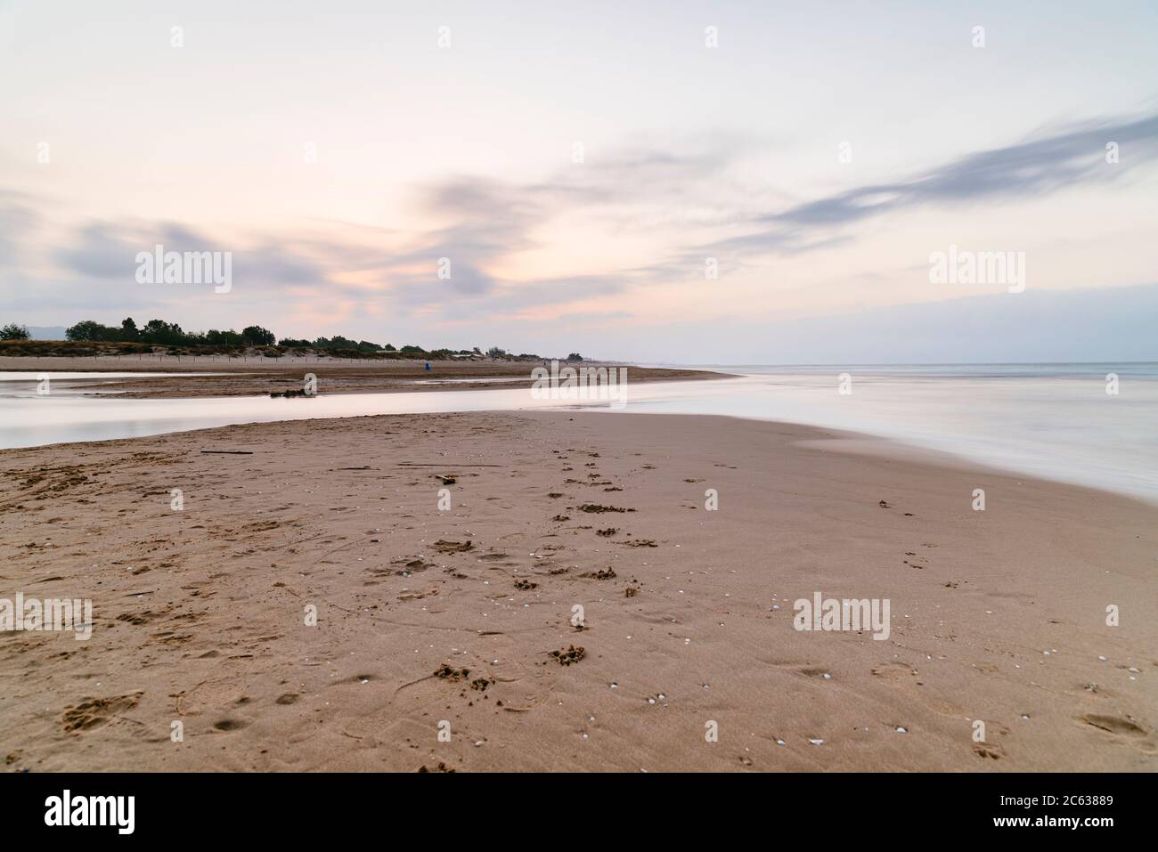 Oliva valencia hi-res stock photography and images - Alamy