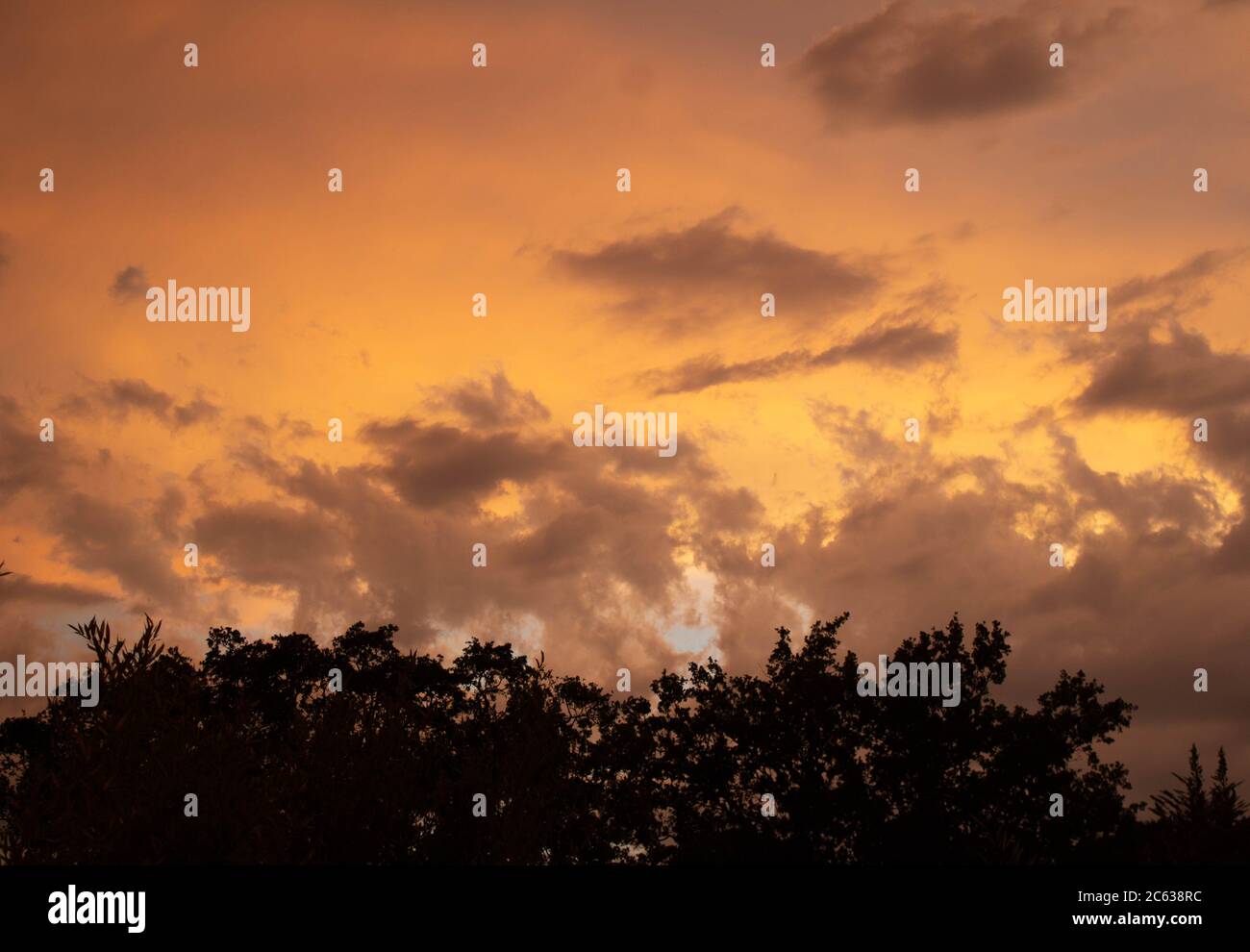 colorful cloudy sky with tree shadows at sunset Stock Photo - Alamy