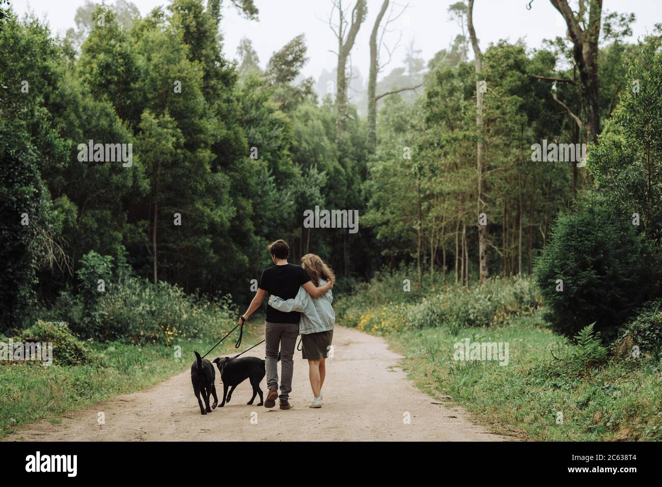 Man walking dog down path hi-res stock photography and images - Alamy
