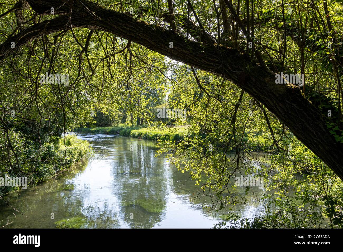 Itchen chalk stream hi-res stock photography and images - Alamy