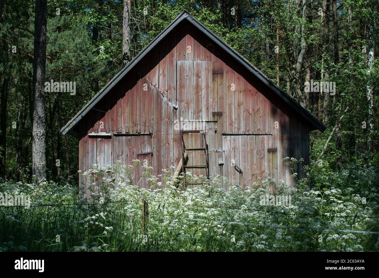 Old barn on Baltic sea island Fårö in Gotland, Sweden Stock Photo - Alamy