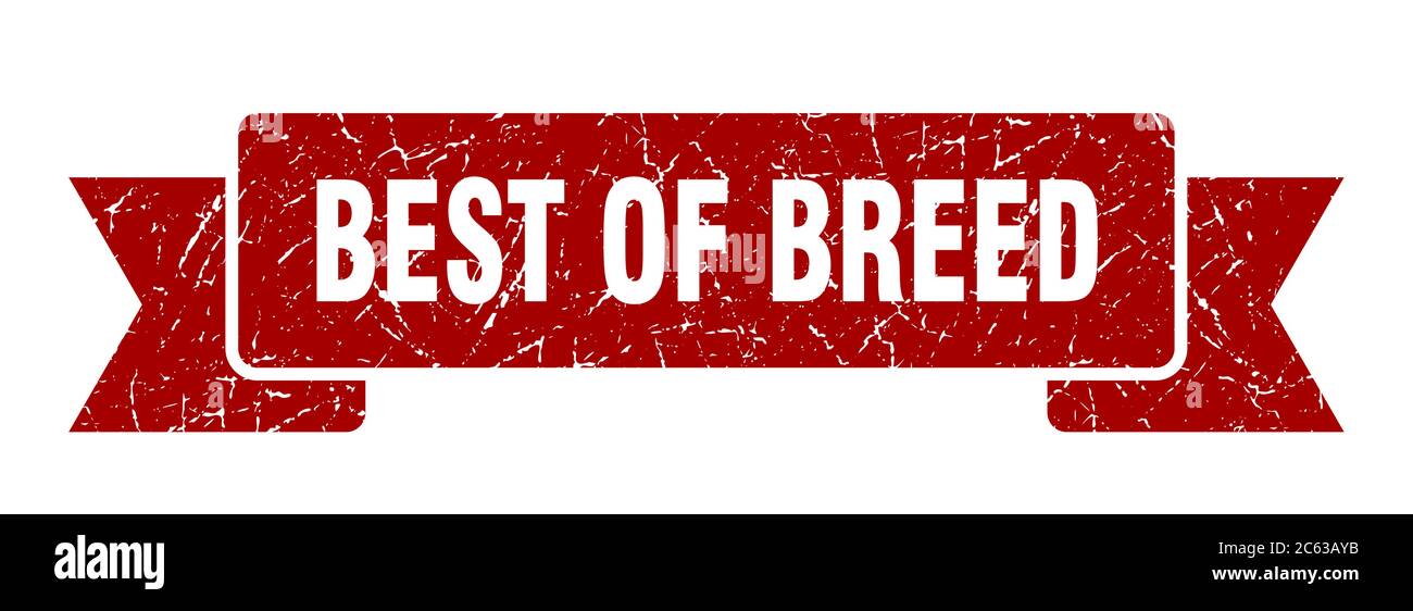 best of breed ribbon. best of breed grunge band sign. best of breed ...