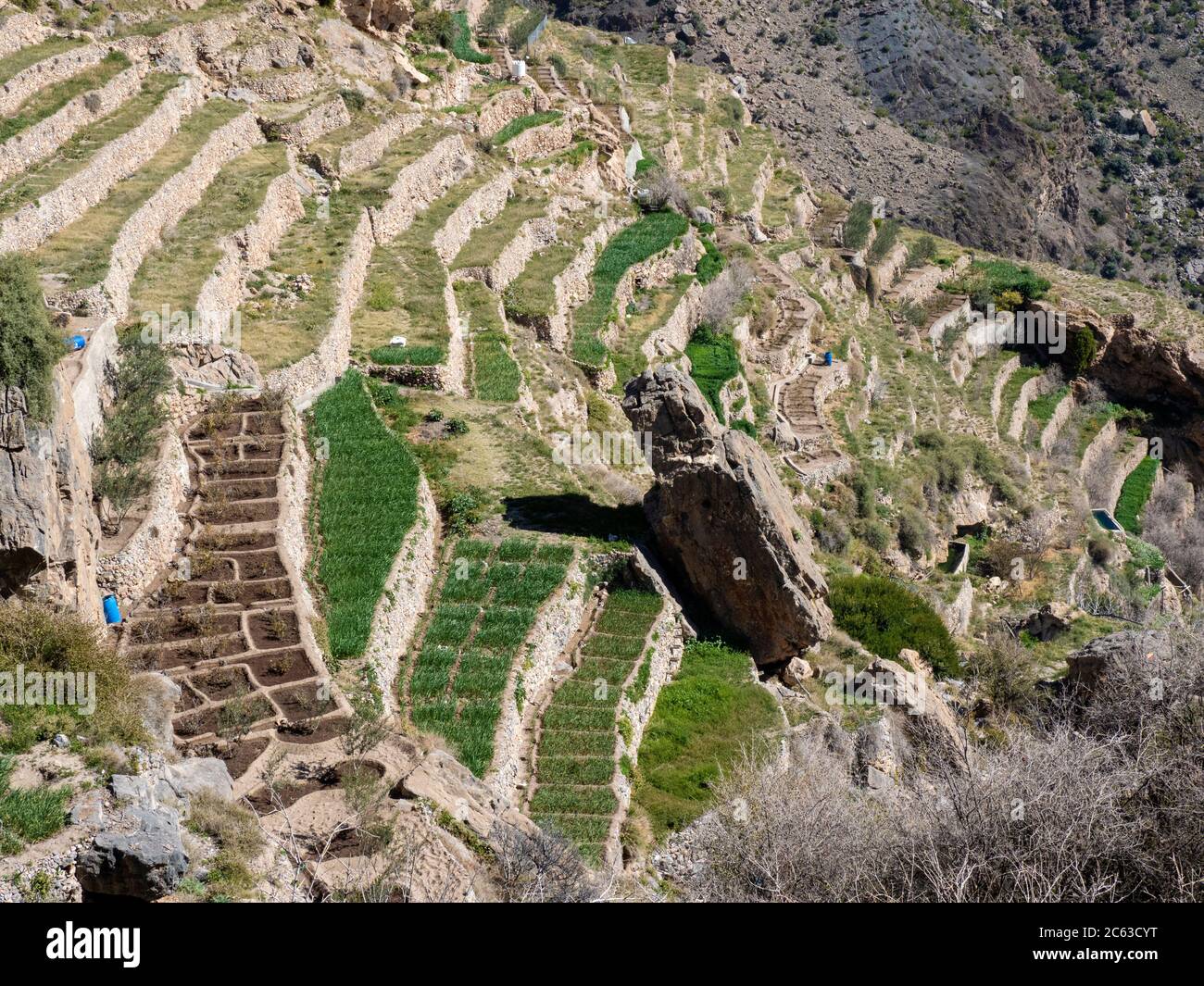 Terraced gardens line the cliffs near traditional villages of the Sayq ...