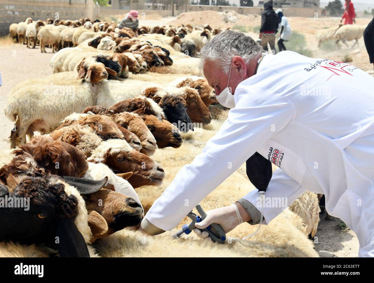 Damascus goat hi-res stock photography and images - Alamy