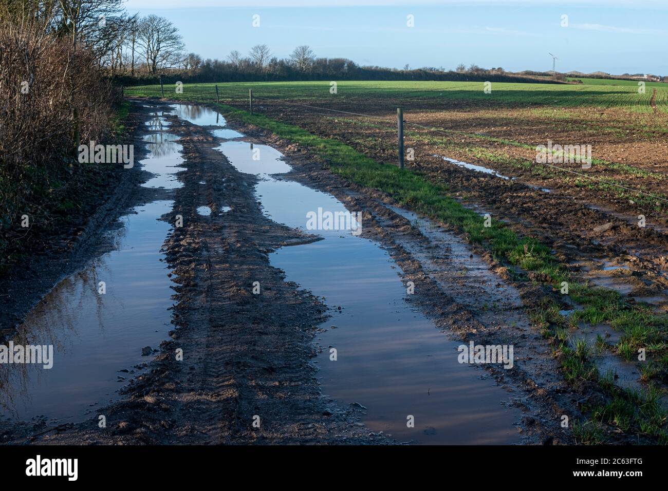 Puddles at edge of farm field after flooding, South Devon Stock Photo ...