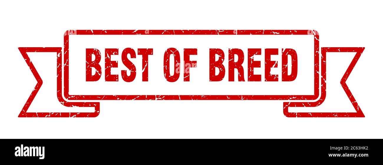 best of breed ribbon. best of breed grunge band sign. best of breed ...