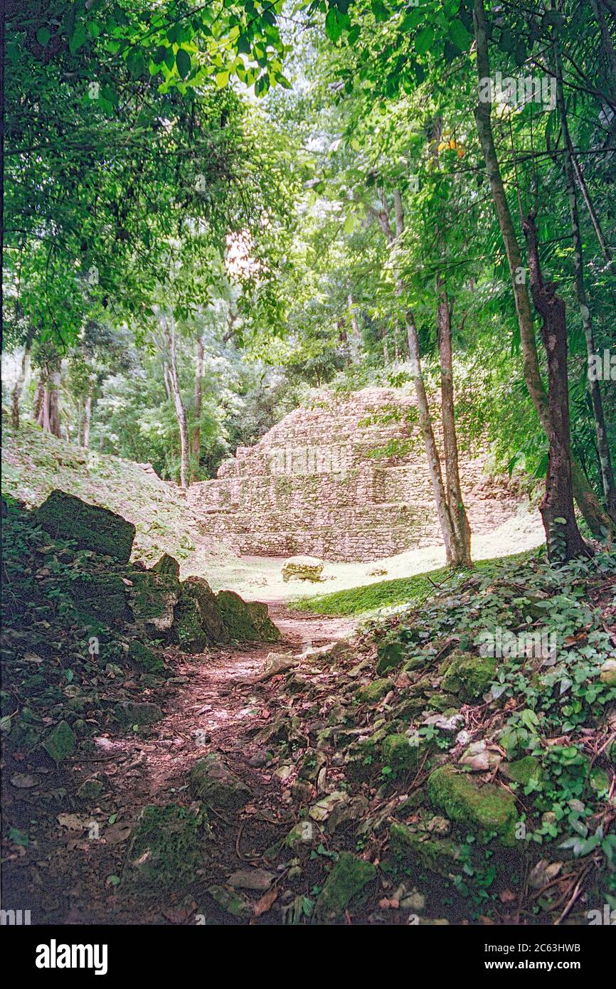 Following a narrow path through the trees a pyramid shows in the ...