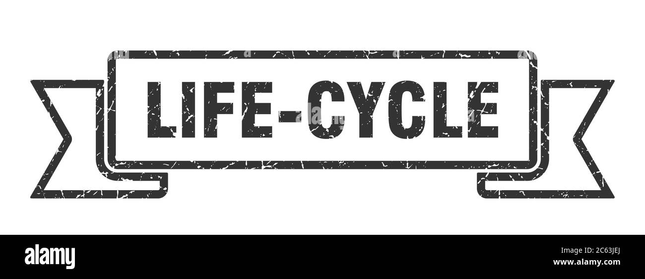 life-cycle ribbon. life-cycle grunge band sign. life-cycle banner Stock ...