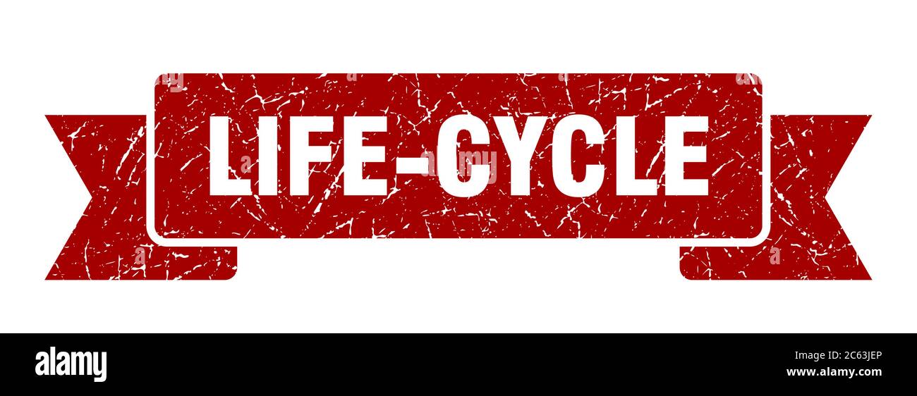 life-cycle ribbon. life-cycle grunge band sign. life-cycle banner Stock ...