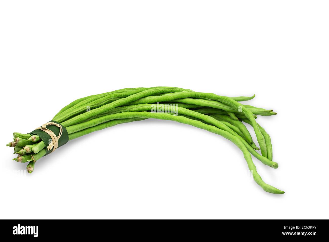 Raw organic yard long bean in rustic bundle on white isolated ...