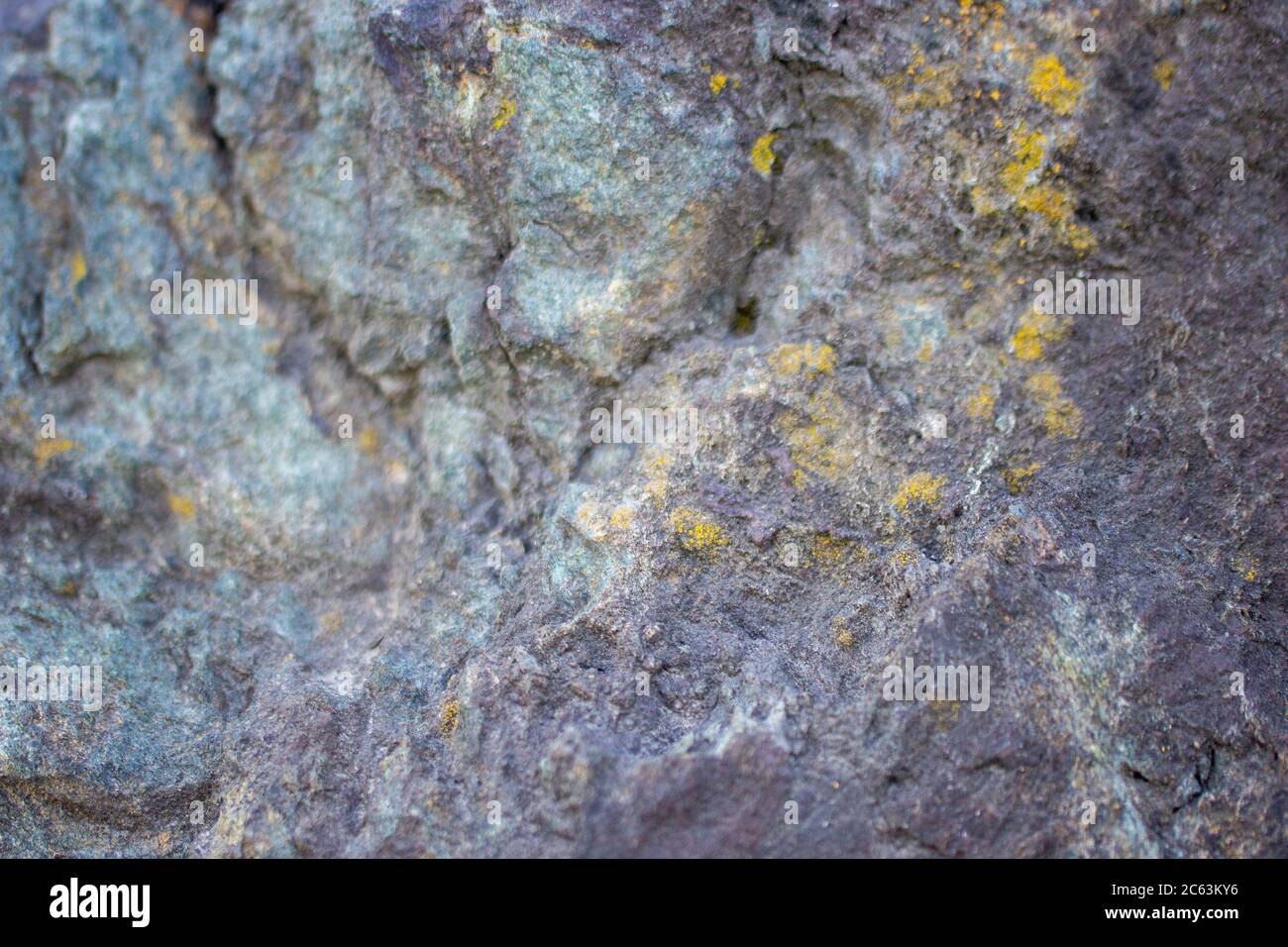 The background is the texture of a stone rock. partially blurred image ...
