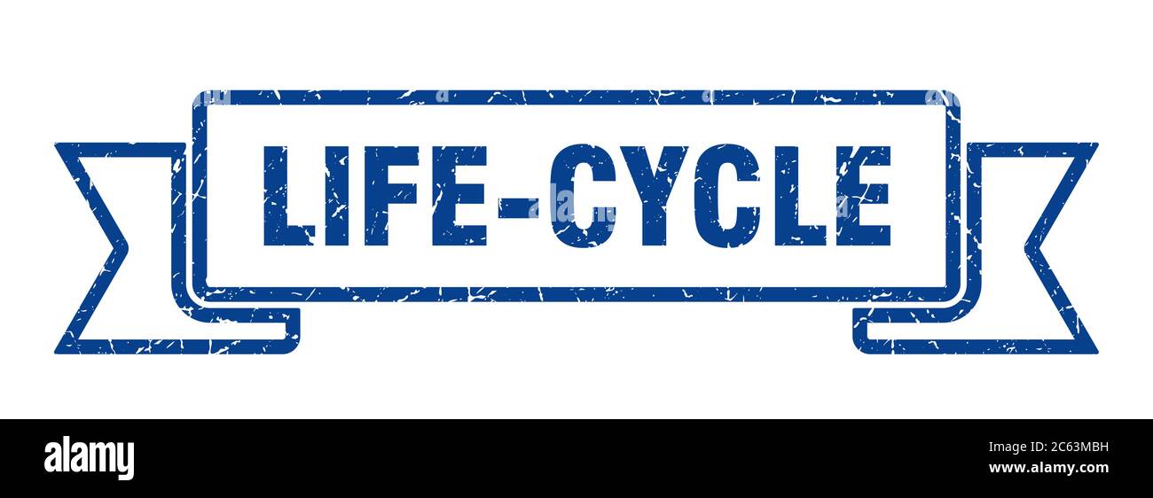 life-cycle ribbon. life-cycle grunge band sign. life-cycle banner Stock ...