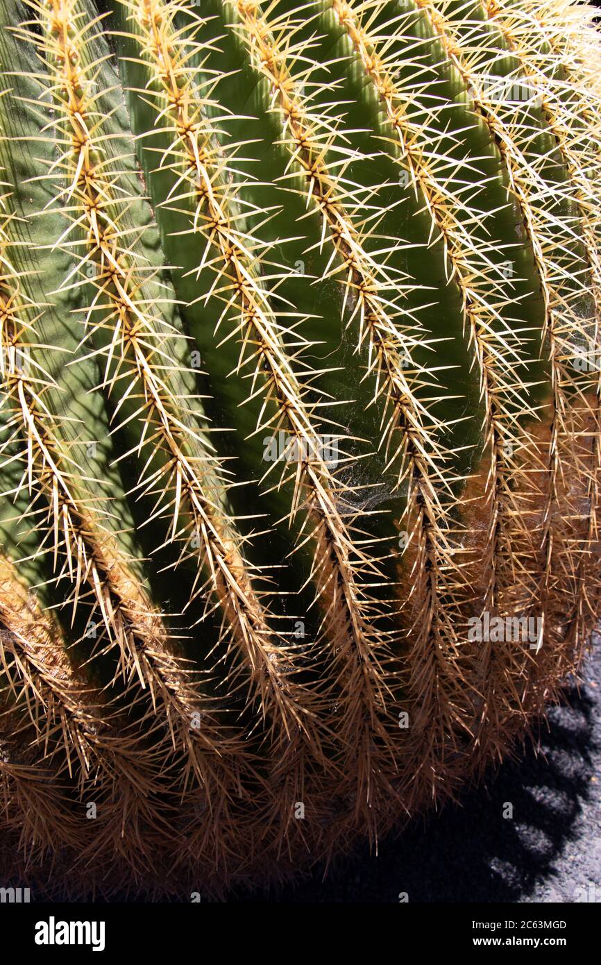 Volcanic spike hi-res stock photography and images - Alamy