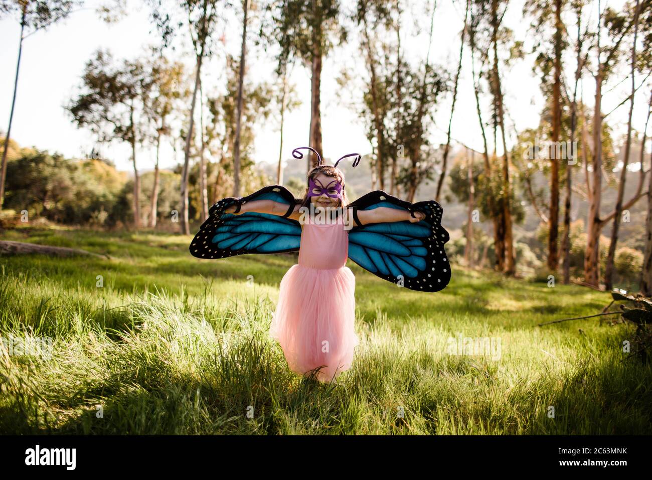 Young girl in dress up posing in field Stock Photo - Alamy
