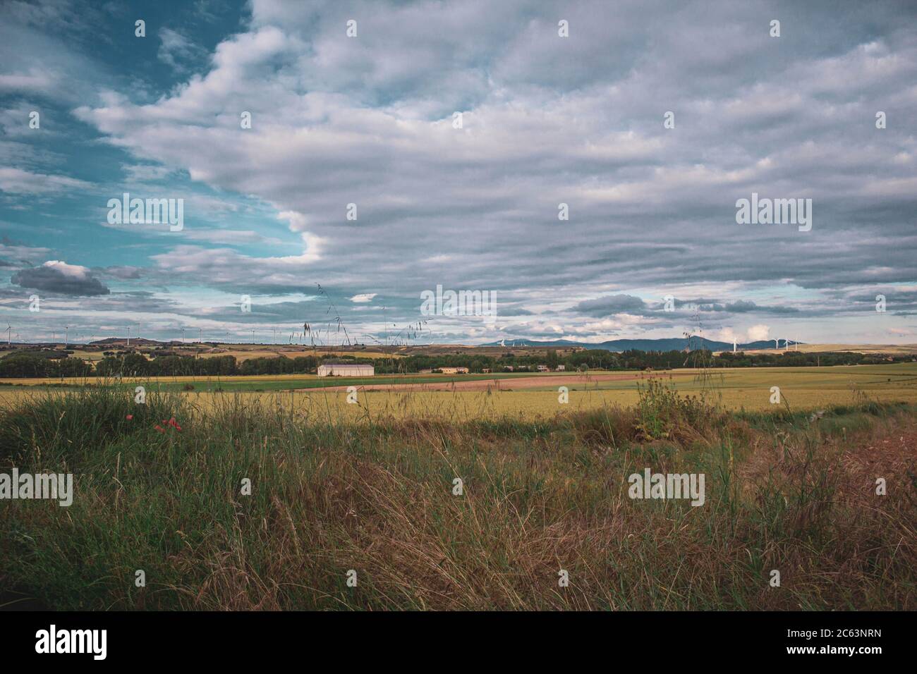 countryside landscape with forest in the background and cloudy sky ...