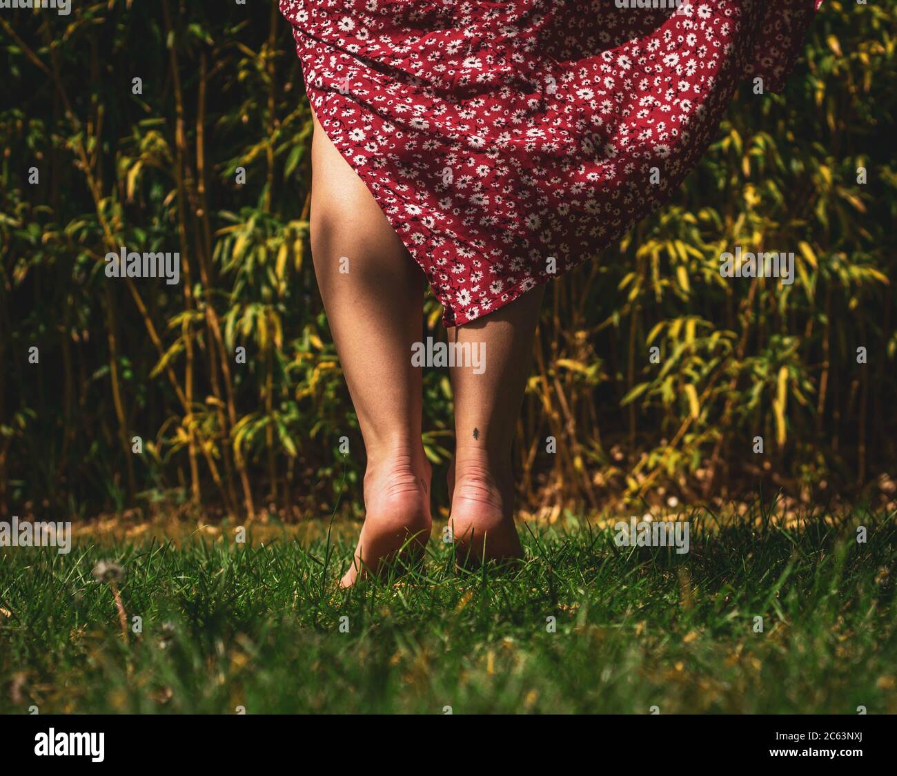 Tattoo park garden hi-res stock photography and images - Alamy