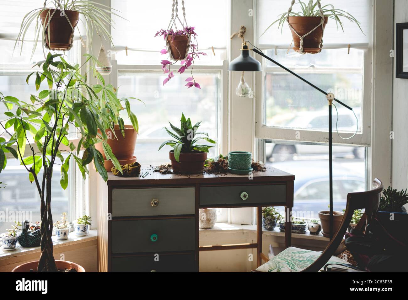 Desk in bright study with plants and large windows Stock Photo - Alamy