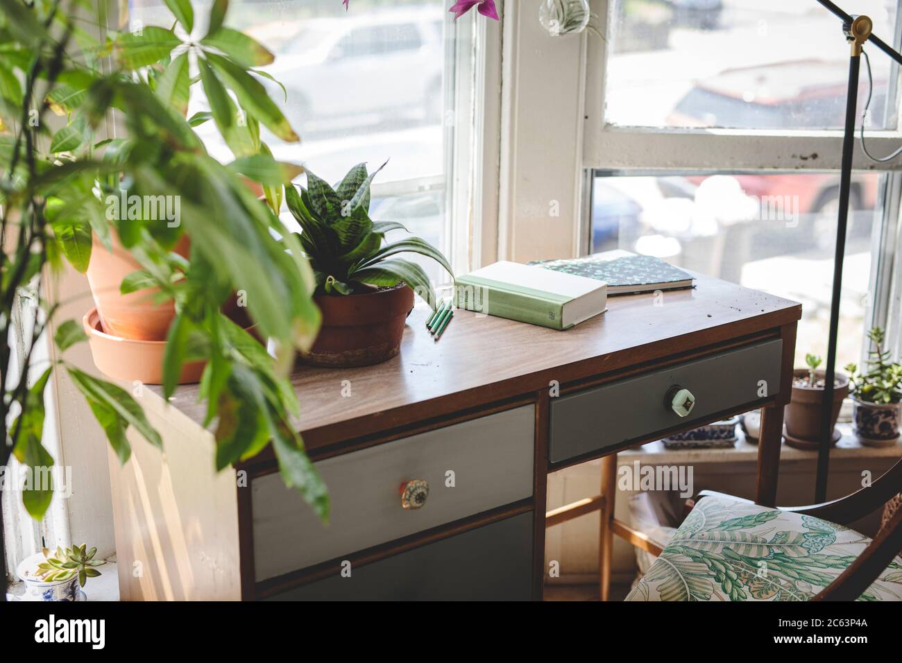 Desk in bright study with books and plants Stock Photo - Alamy