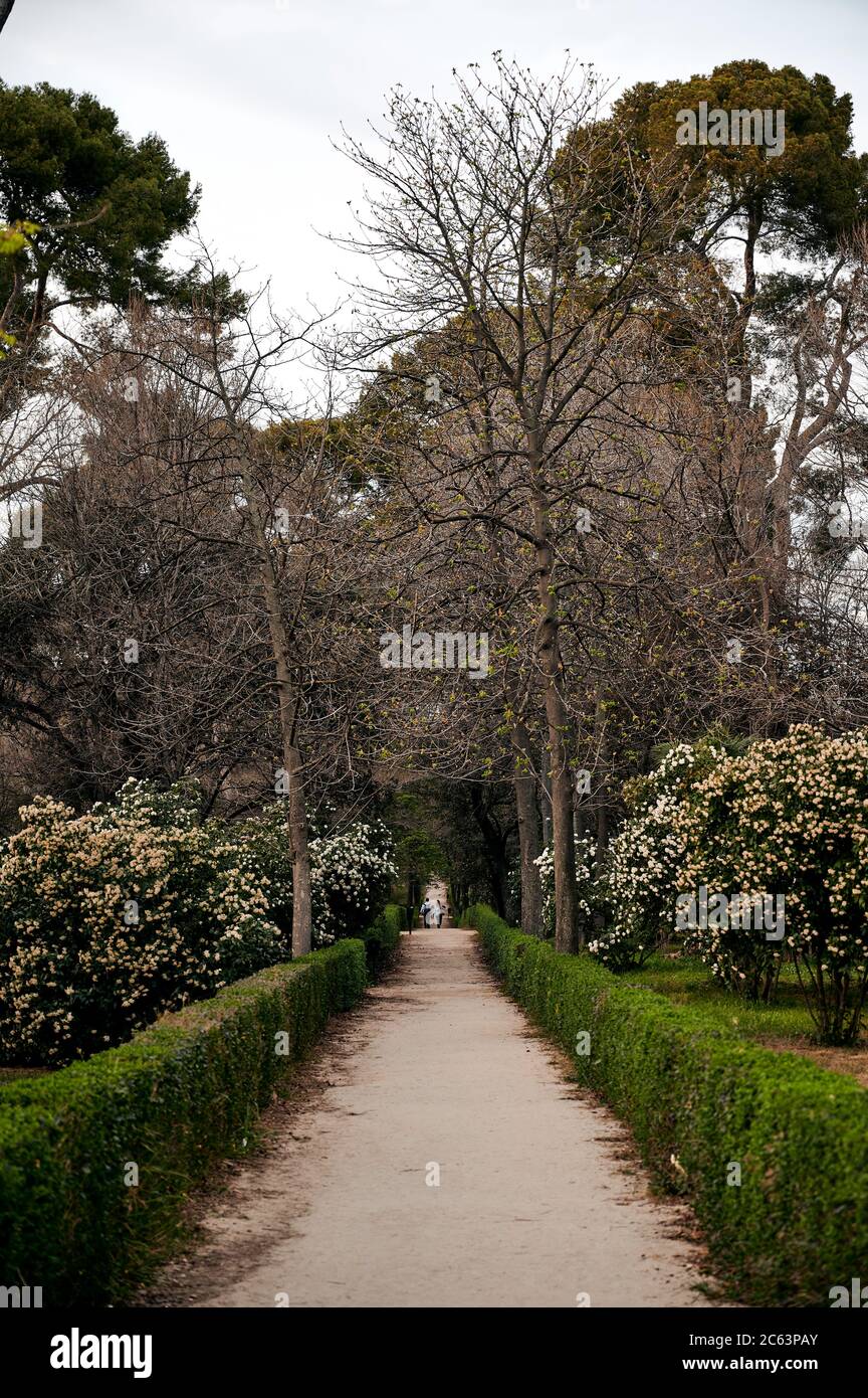 Hedge pathway hi-res stock photography and images - Alamy