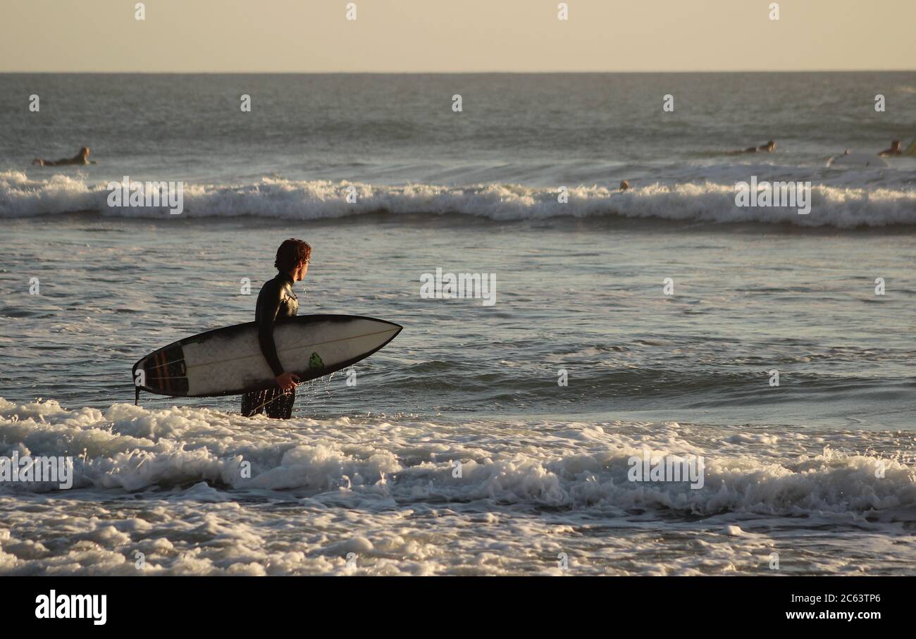 A young male surfer walks into the ocean at sunset Stock Photo - Alamy