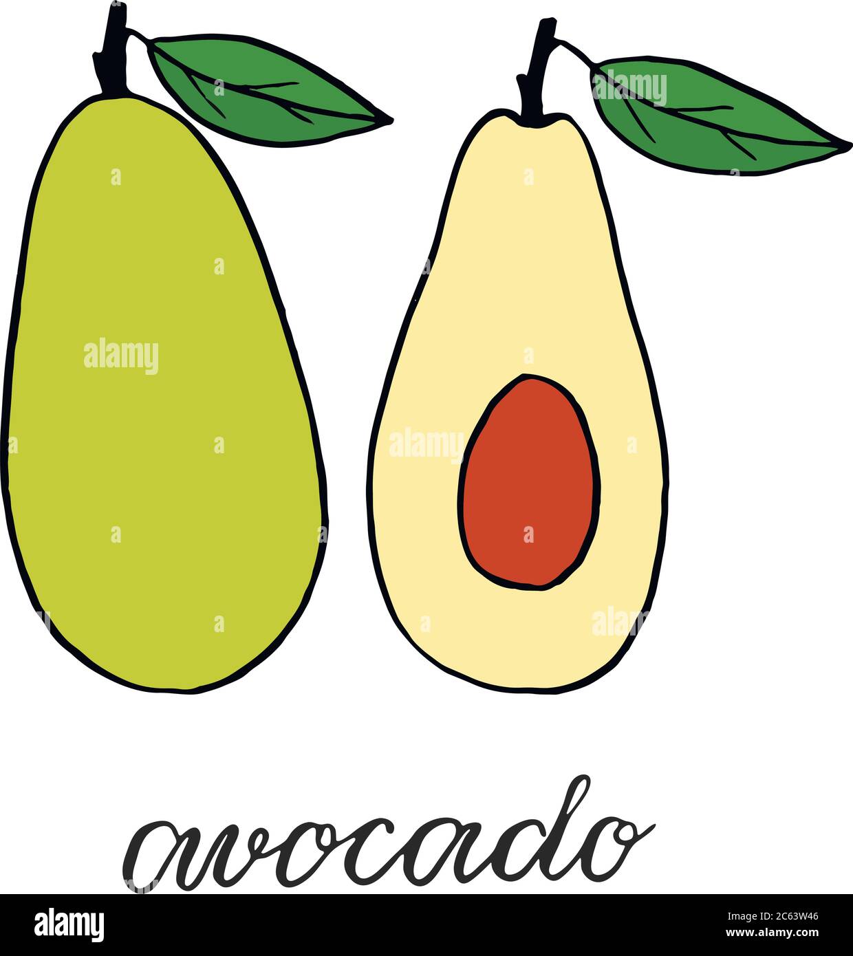 Hand drawn avocado fruit Stock Vector Images - Alamy