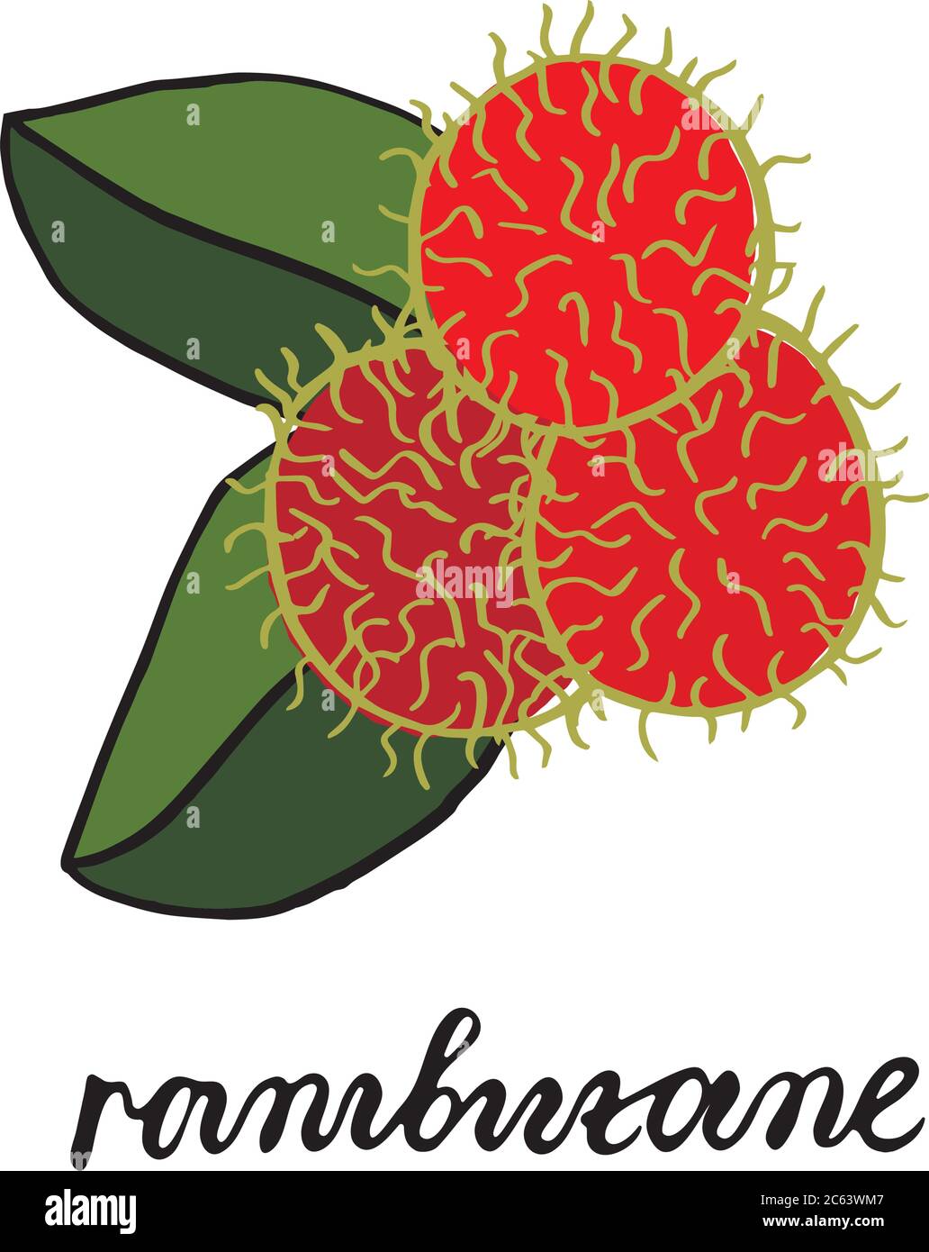 Three ripe red rambutan fruits, with two green leaves. Vector picture ...