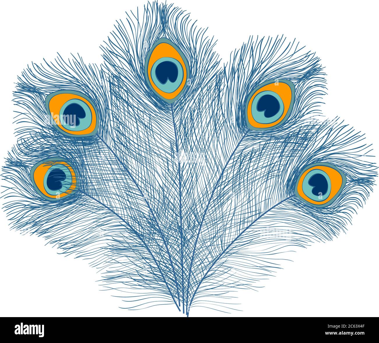 Curved tail feathers Stock Vector Images - Alamy