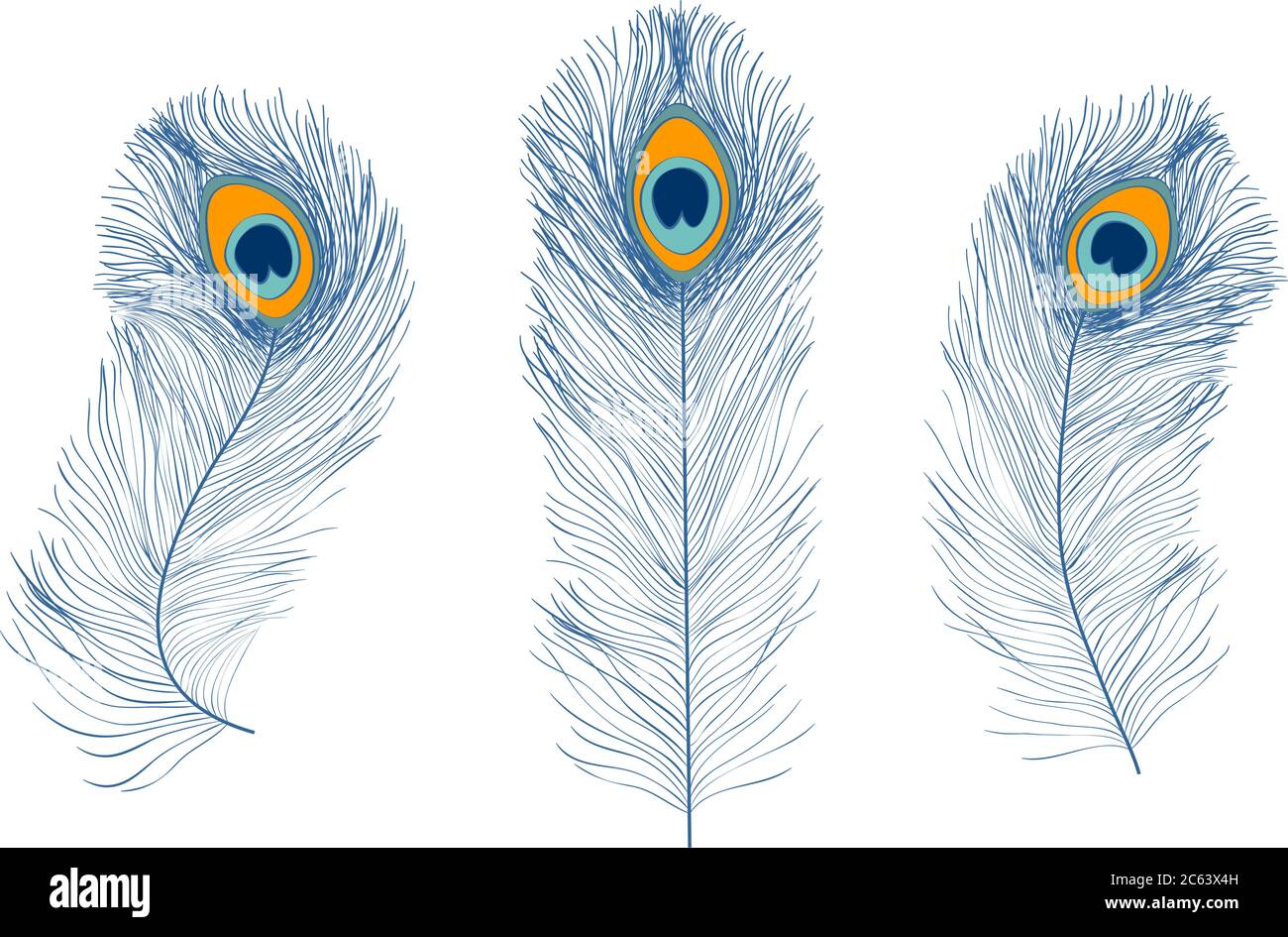 Curved tail feathers Stock Vector Images - Alamy