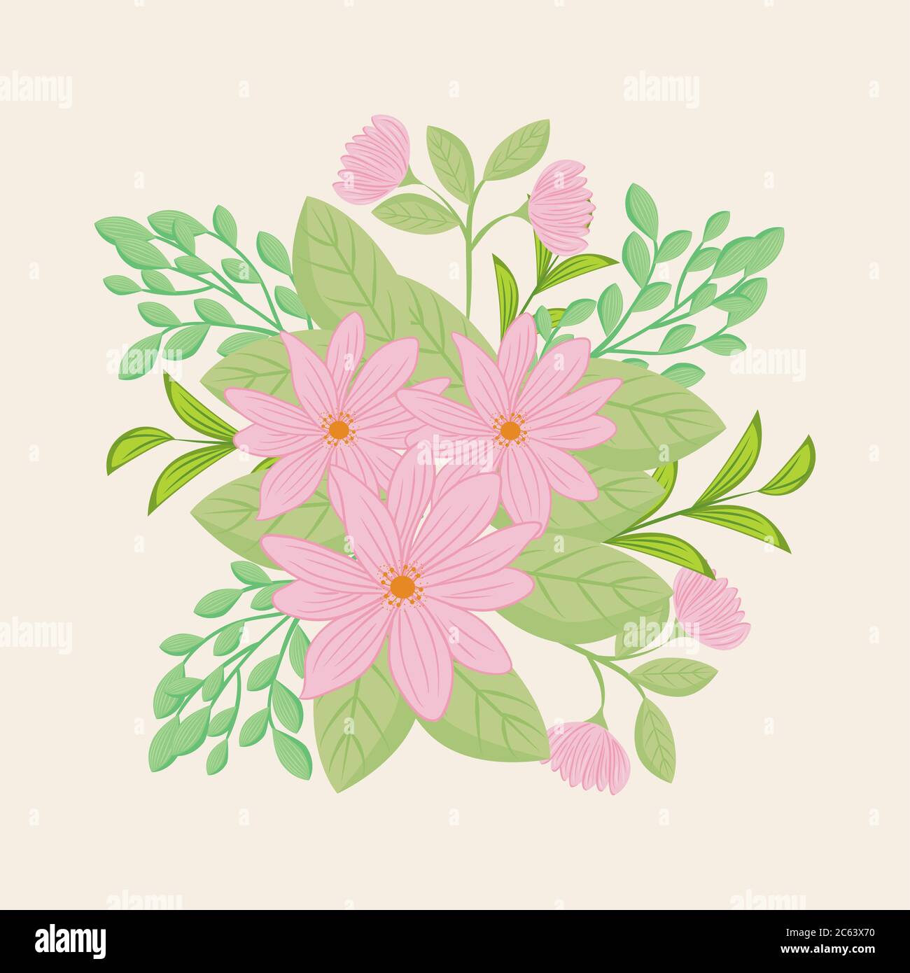 flowers pink color, branches with leaves, nature decoration Stock ...