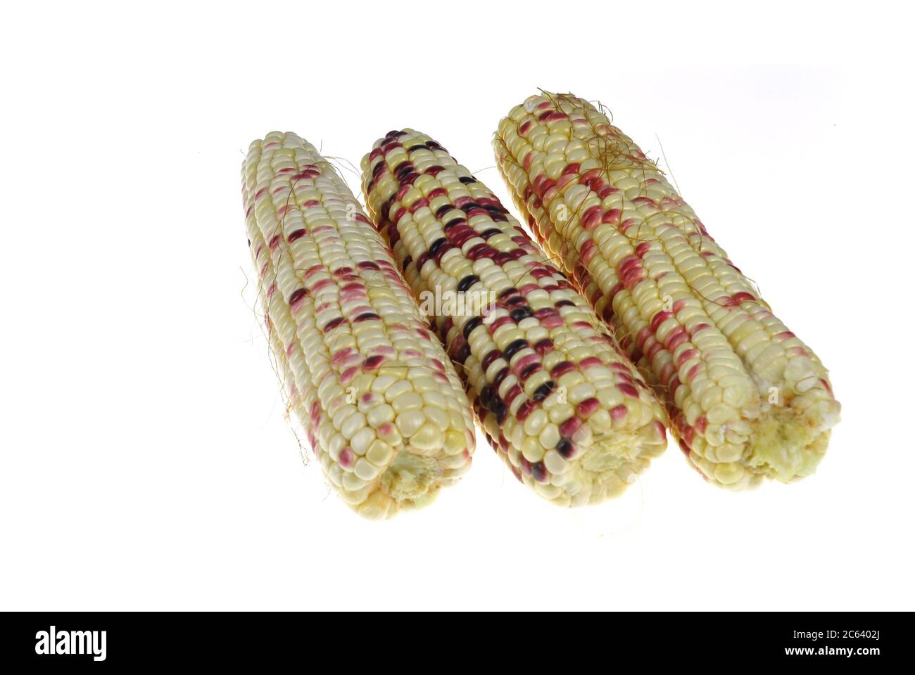 colorful corn cob isolated on white background Stock Photo - Alamy